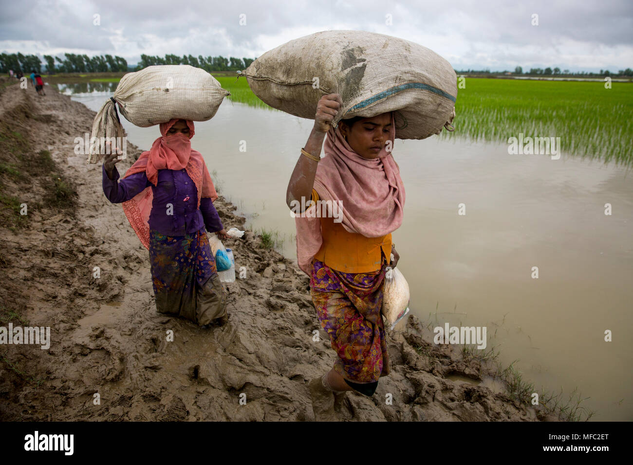 Rohingya refugees entered Bangladesh through border points in Ukhia ...