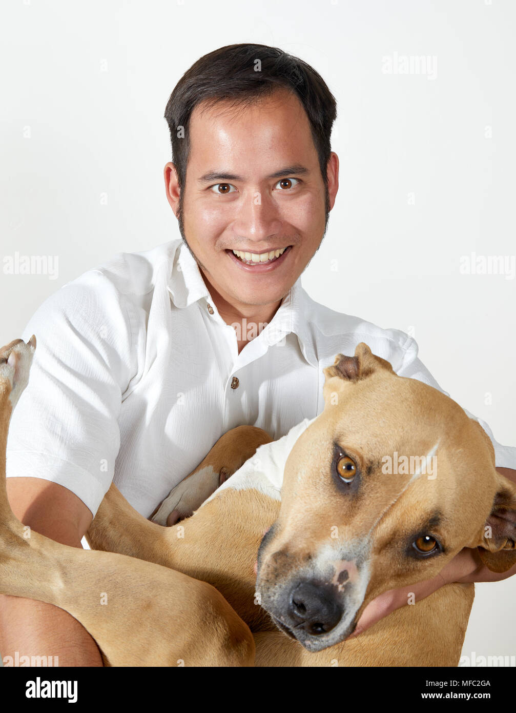 Large size dog hi-res stock photography and images - Alamy