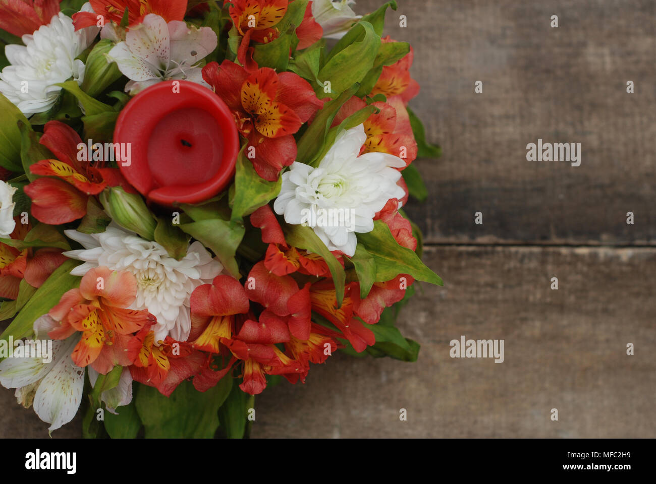 Astromeria flower hi-res stock photography and images - Alamy