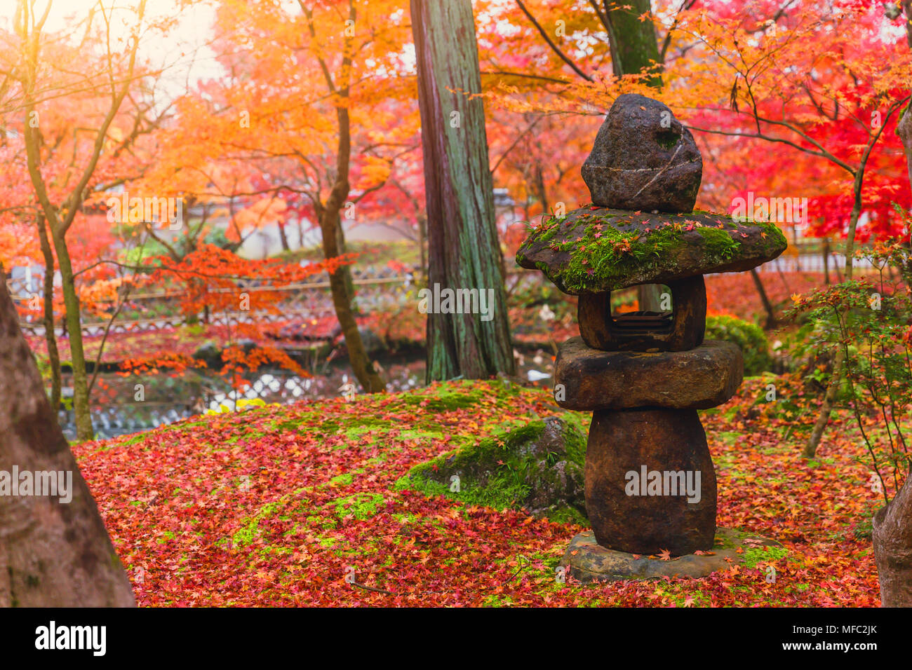 Toro Traditional Japanese Stone Lantern in Beautiful Red Maple park ...