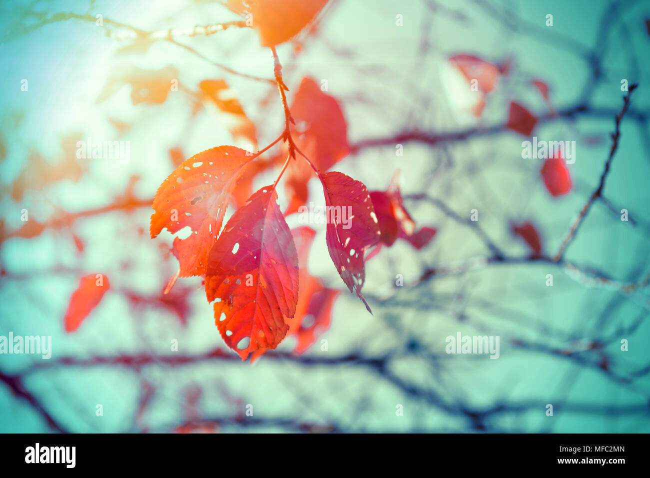 Tone dry hi-res stock photography and images - Alamy