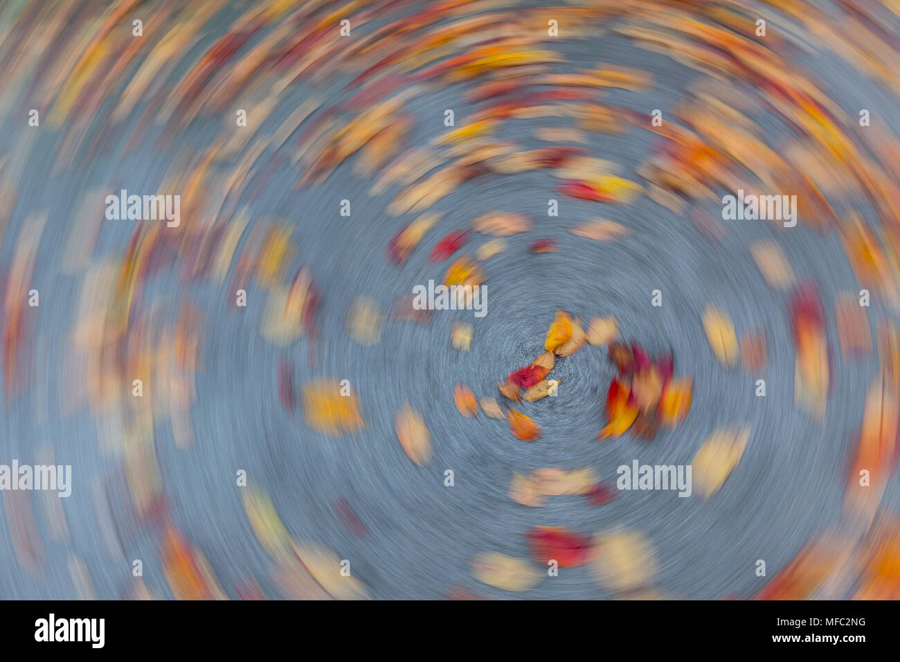 Spin Around camera effect photography art technique Stock Photo - Alamy