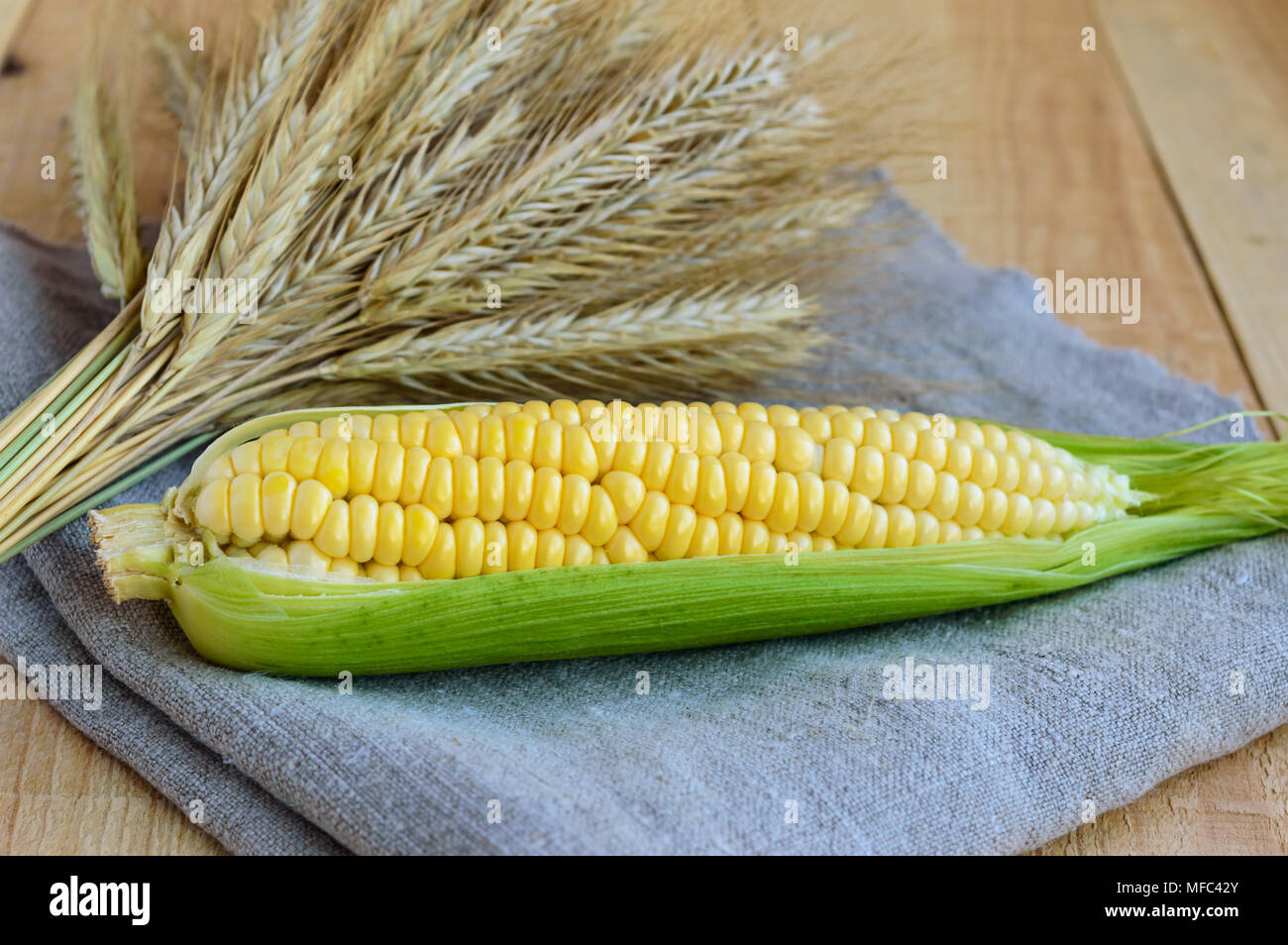 Cob of sweet corn with dry wheat spikelets Stock Photo - Alamy