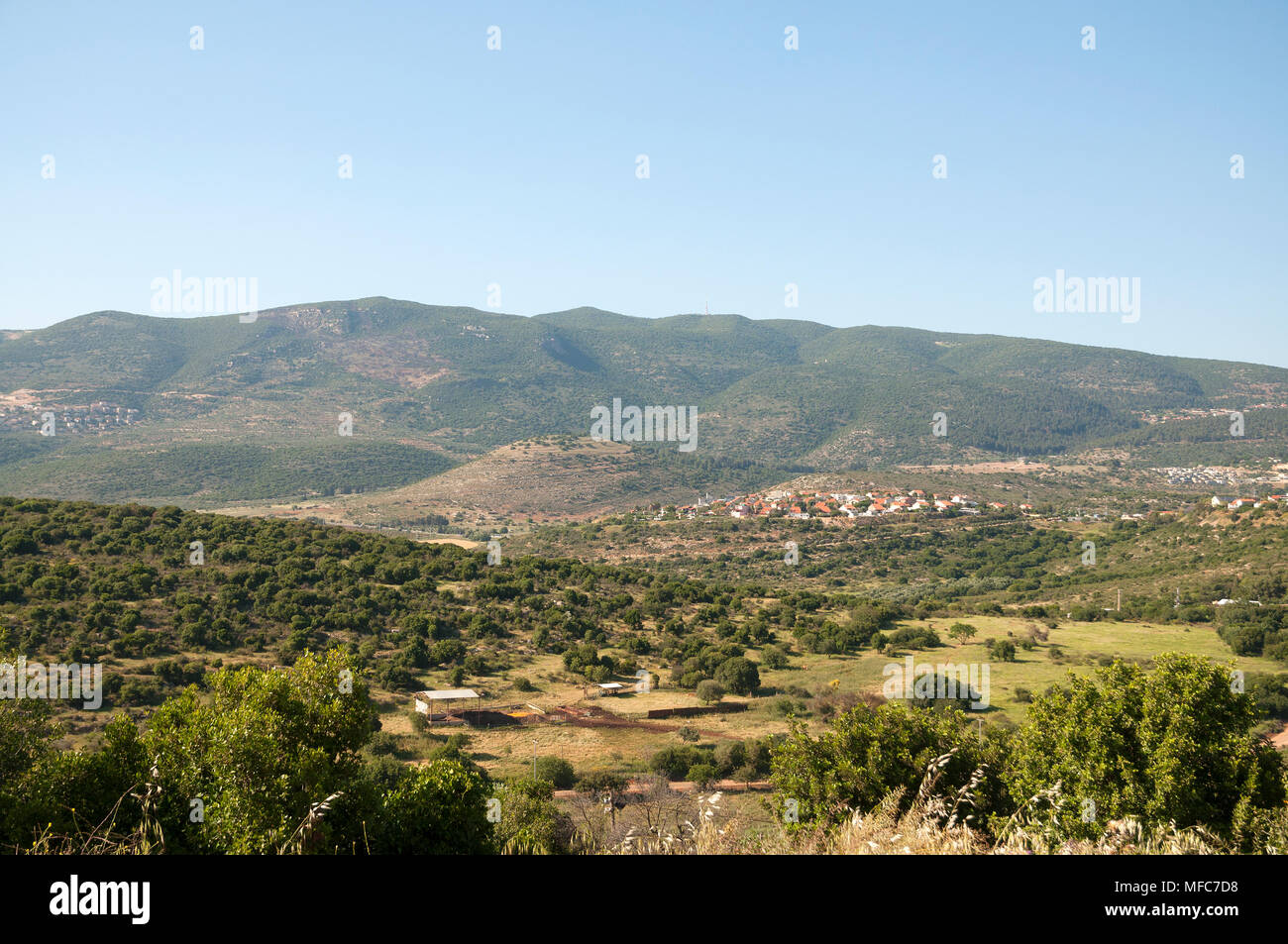 Mount meron hi-res stock photography and images - Alamy