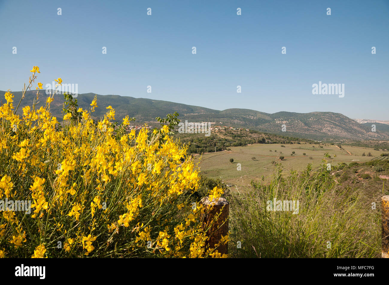 Mount meron israel view hi-res stock photography and images - Alamy