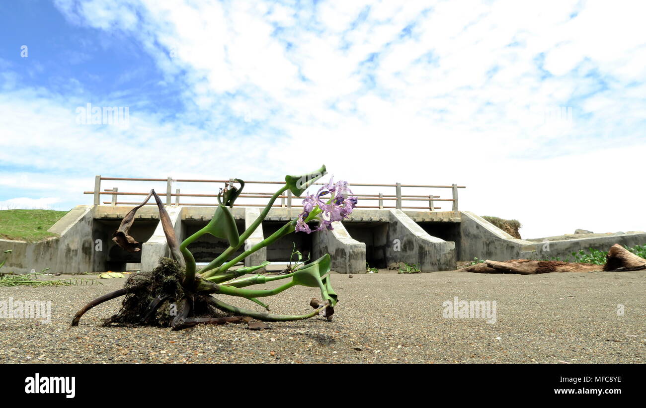Abandoned Dry Dam located in Meulaboh west Aceh Indonesia Stock Photo ...