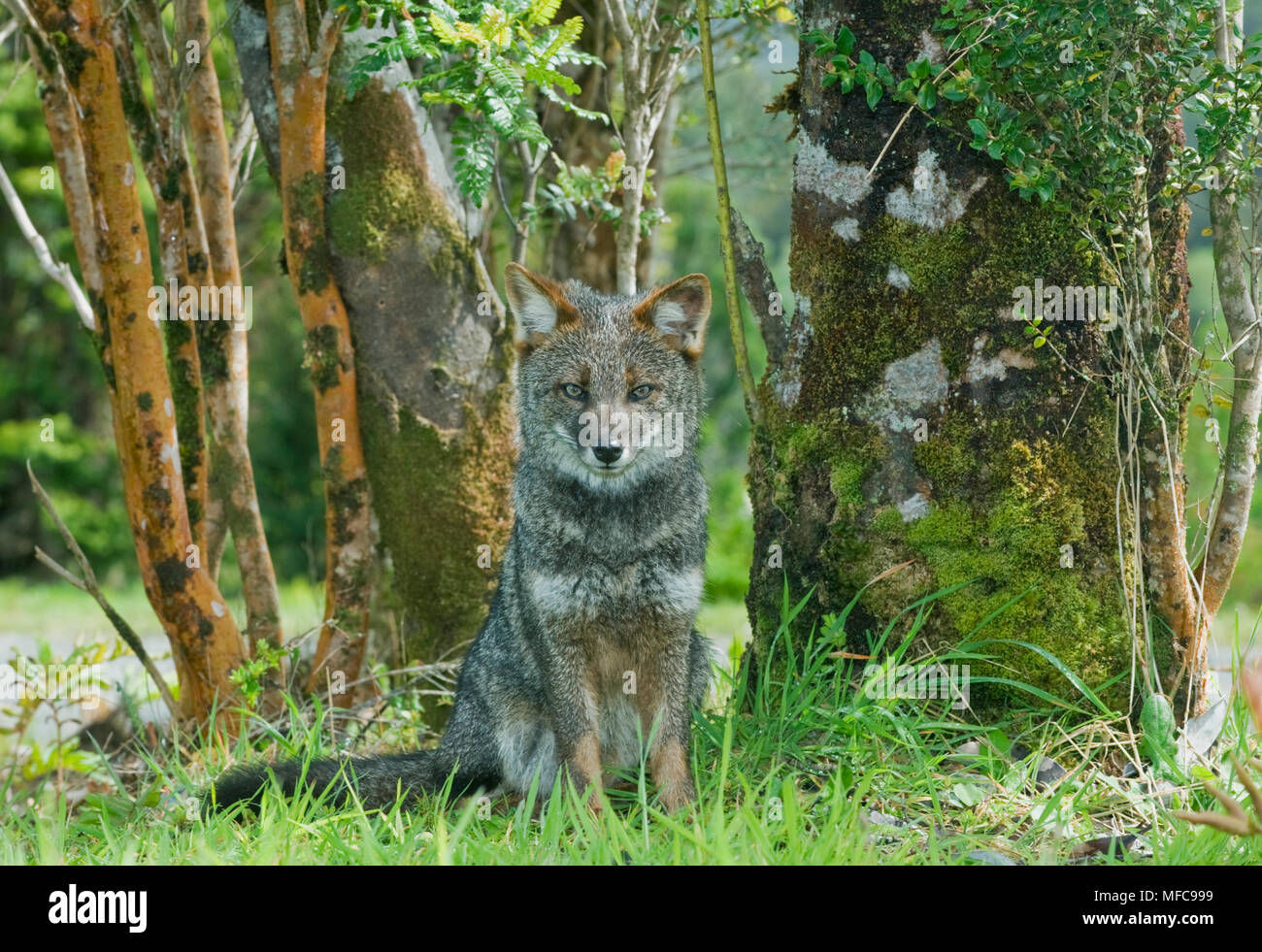 0003 hi-res stock photography and images - Alamy