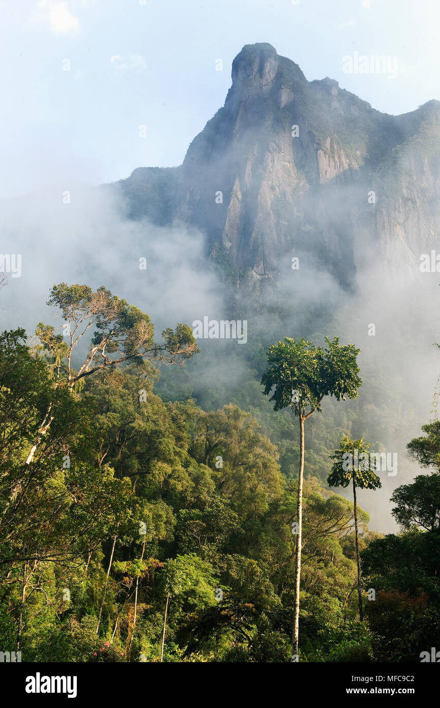 Marojejy National Park