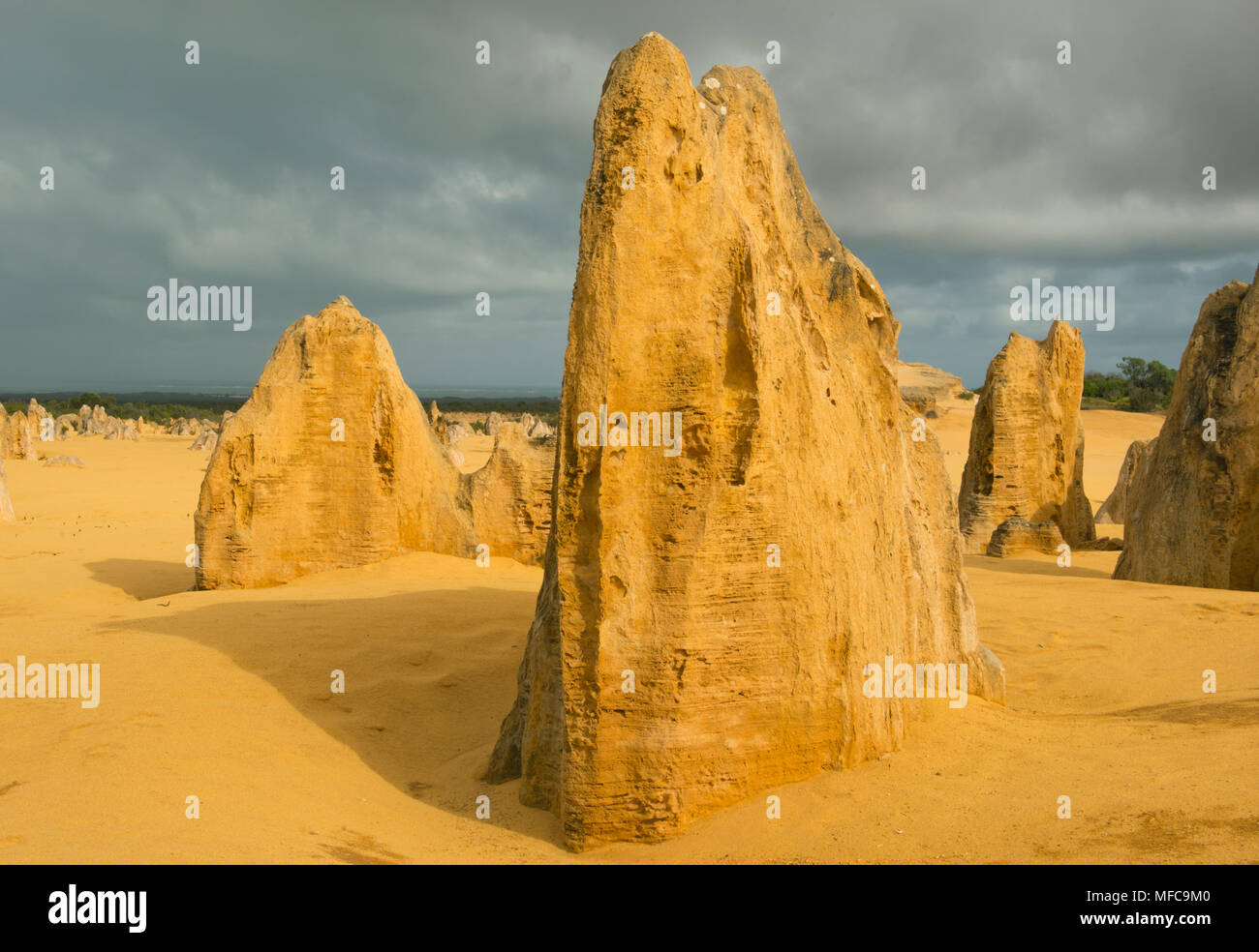 Pinnacles, Nambung National Park, Western Australia Stock Photo - Alamy