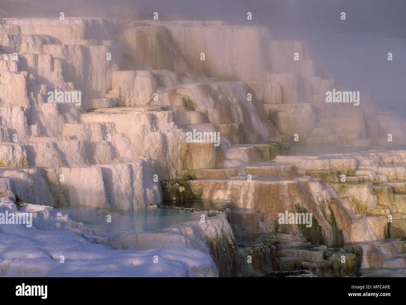 MINERVA SPRING TERRACE Mammoth Hot Springs, Yellowstone National Park ...
