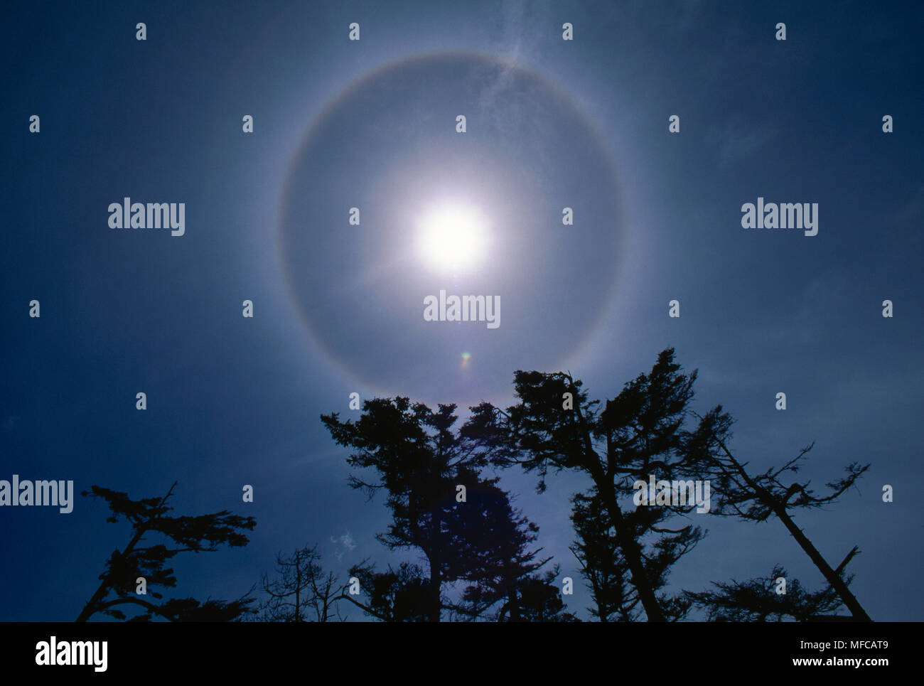 SUN with 22-degree halo caused by refraction of sunlight through ice ...