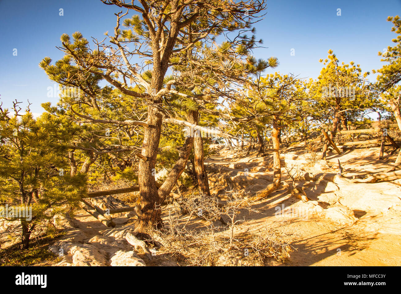 Roxborough State Park in Colorado, USA Stock Photo - Alamy