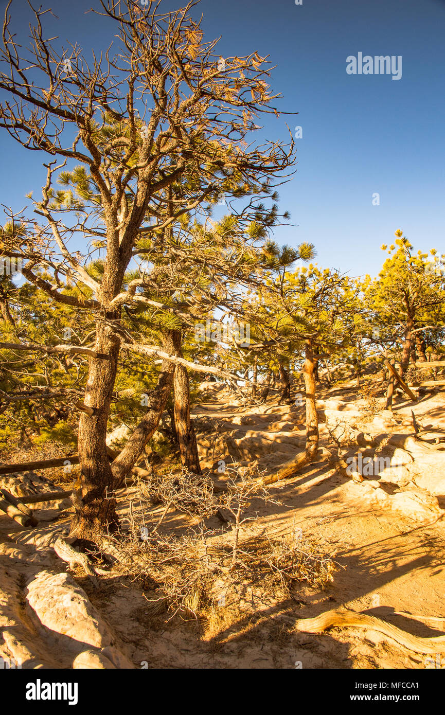 Roxborough State Park in Colorado, USA Stock Photo - Alamy