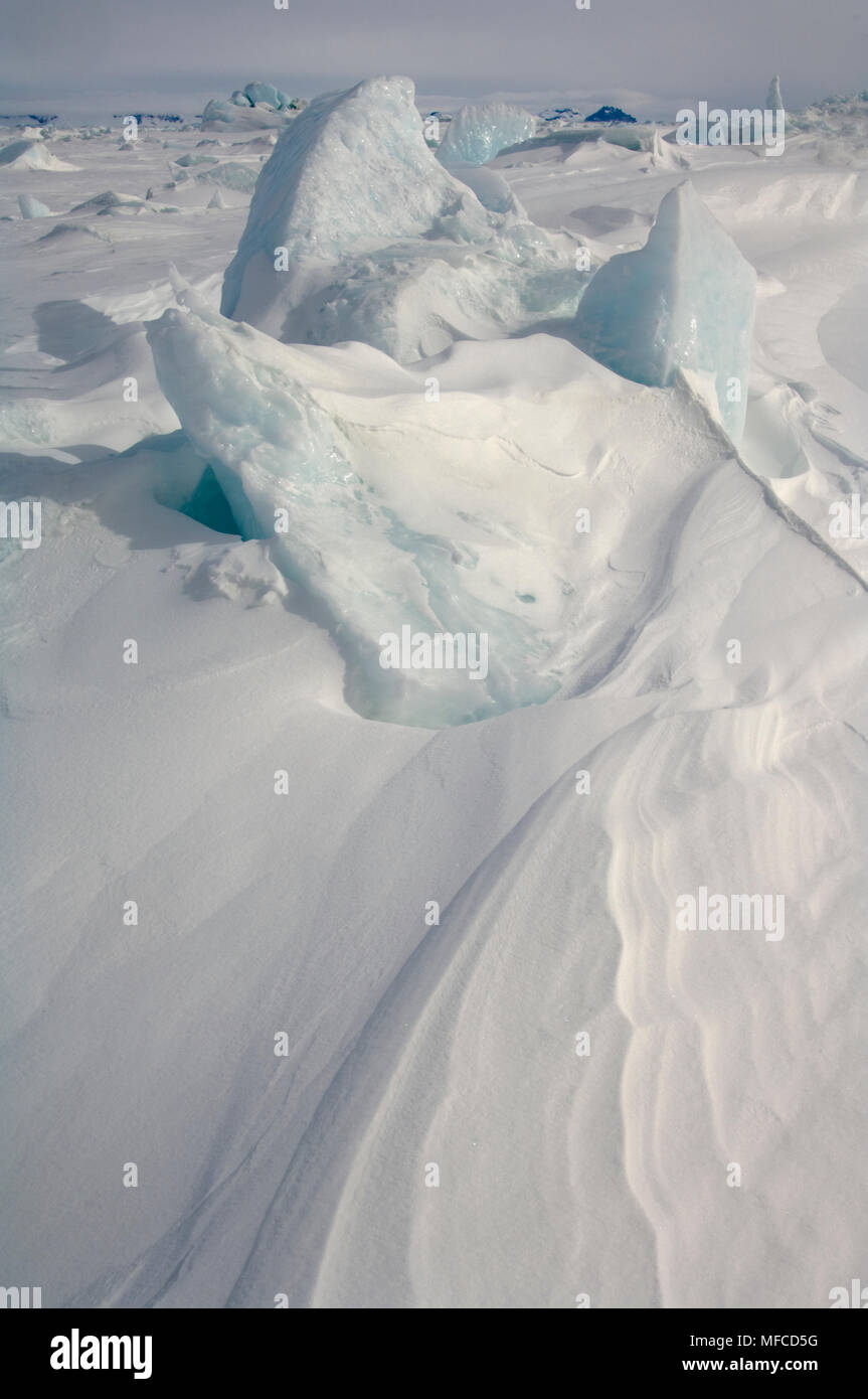 Antarctica: pack ice near James Ross Island, Erebus and Terror Gulf ...