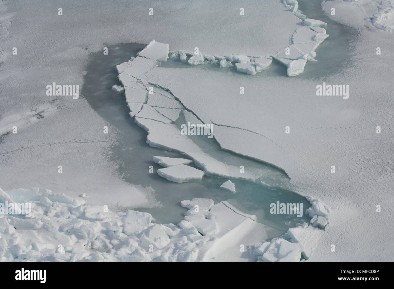 Pack ice, Antarctica Stock Photo - Alamy