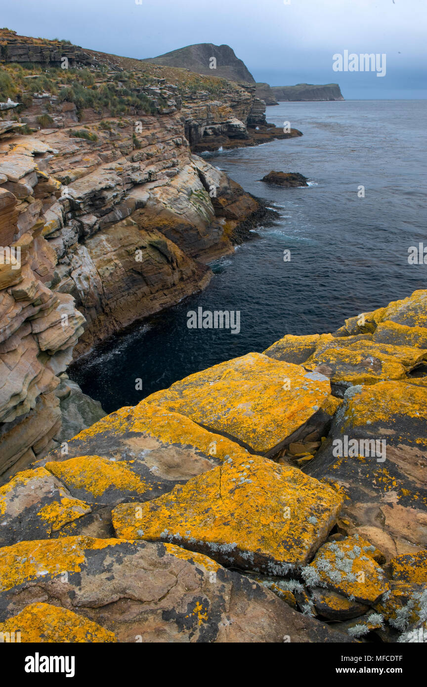 Landscapes of the falkland islands hi-res stock photography and images ...