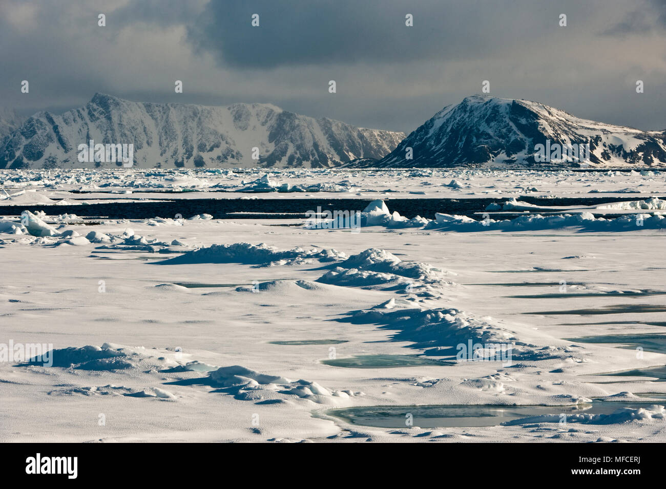 Arctic pack ice; Svalbard Stock Photo - Alamy