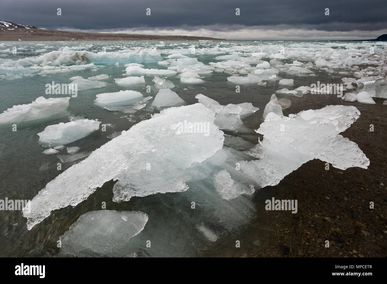 Ice floes, Spitsbergen Stock Photo - Alamy