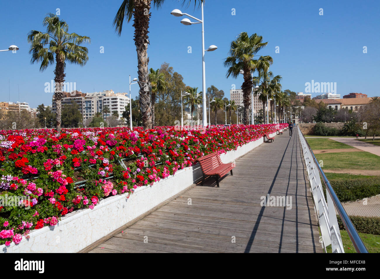 Valencia/Spain - March 16, 2015: The highlight of Valencia's calendar ...