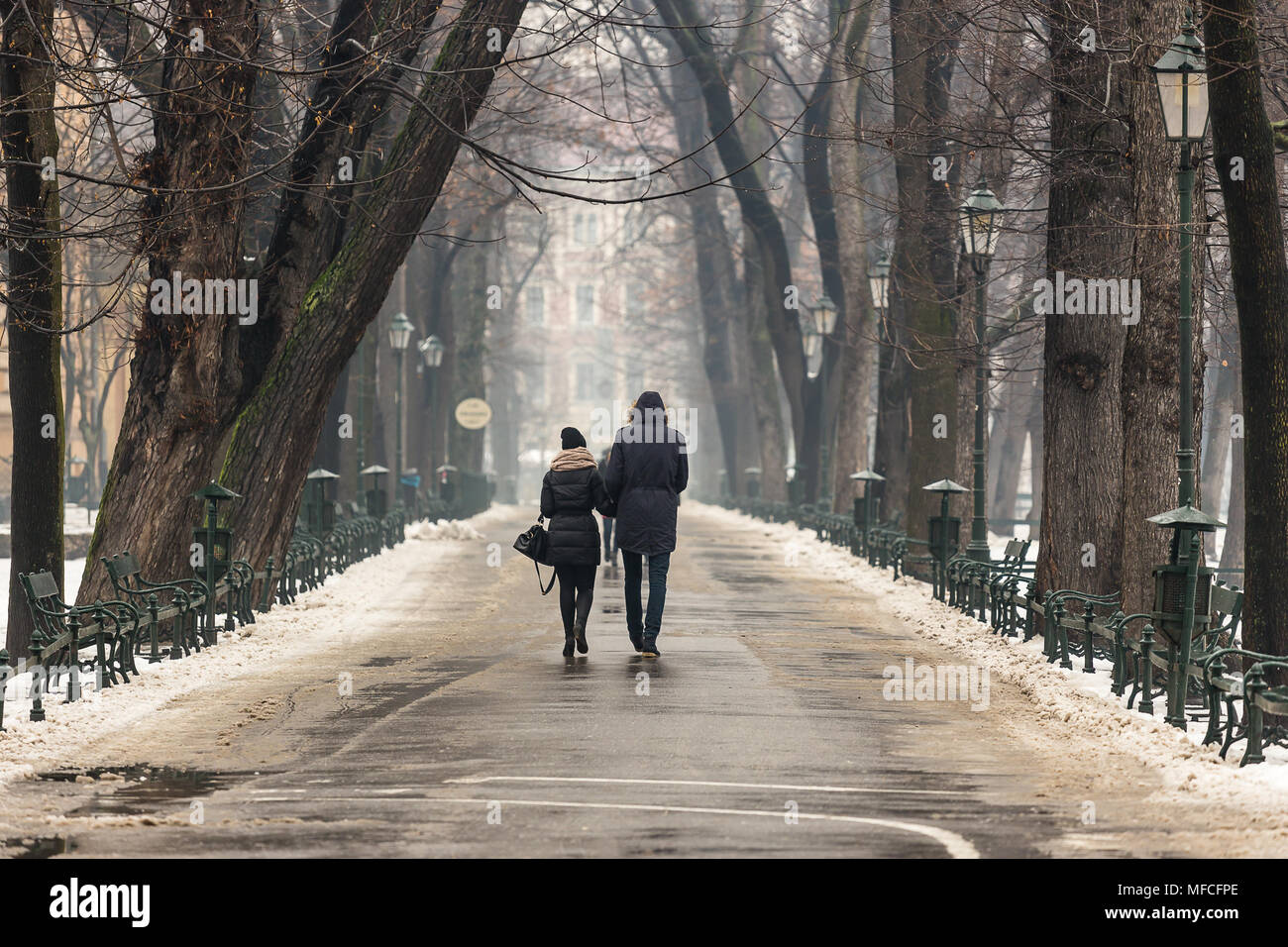 Man walking along path surrounded by trees, in winter, carrying a bag ...