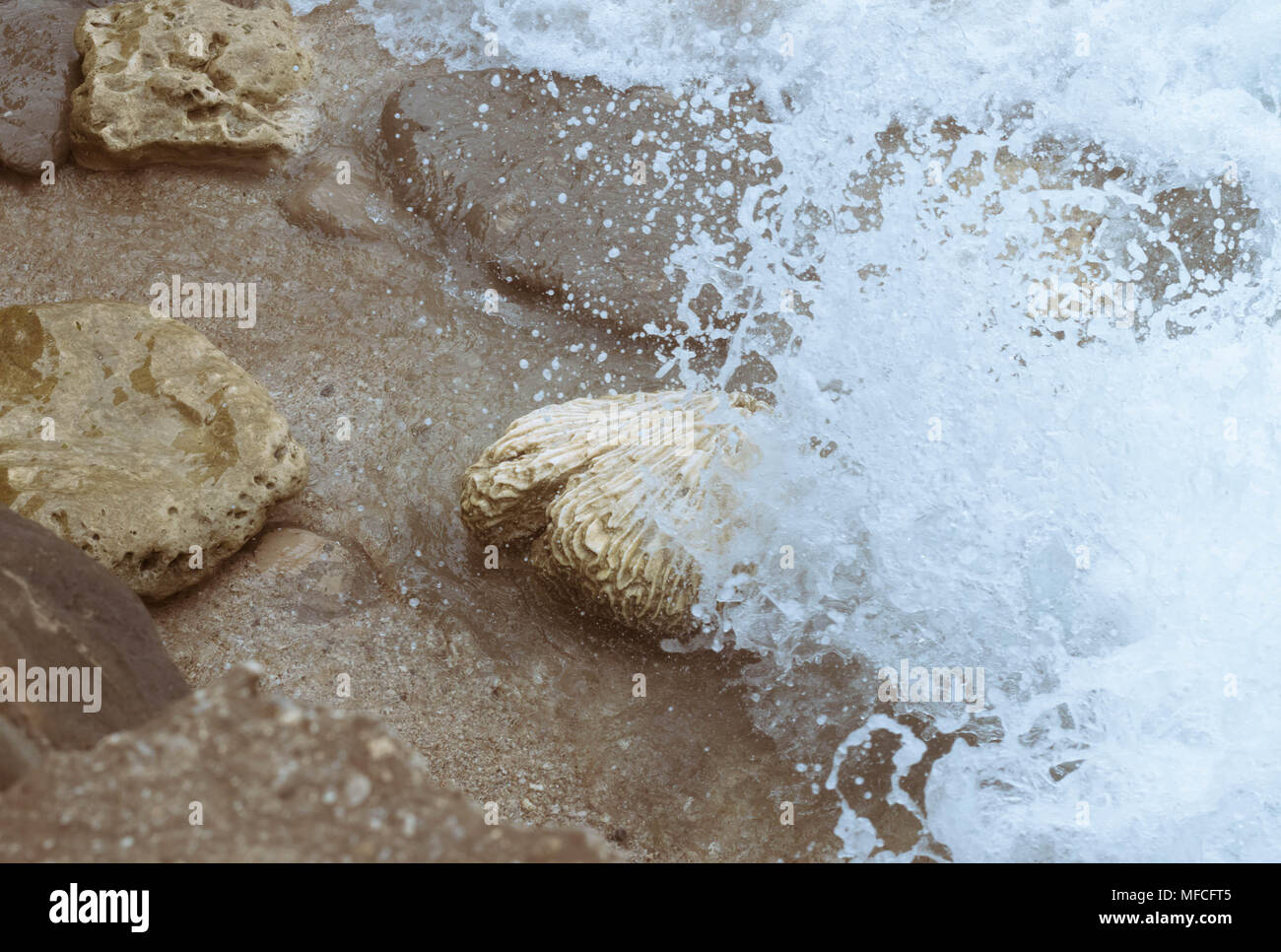 Splash sprinkle hi-res stock photography and images - Alamy