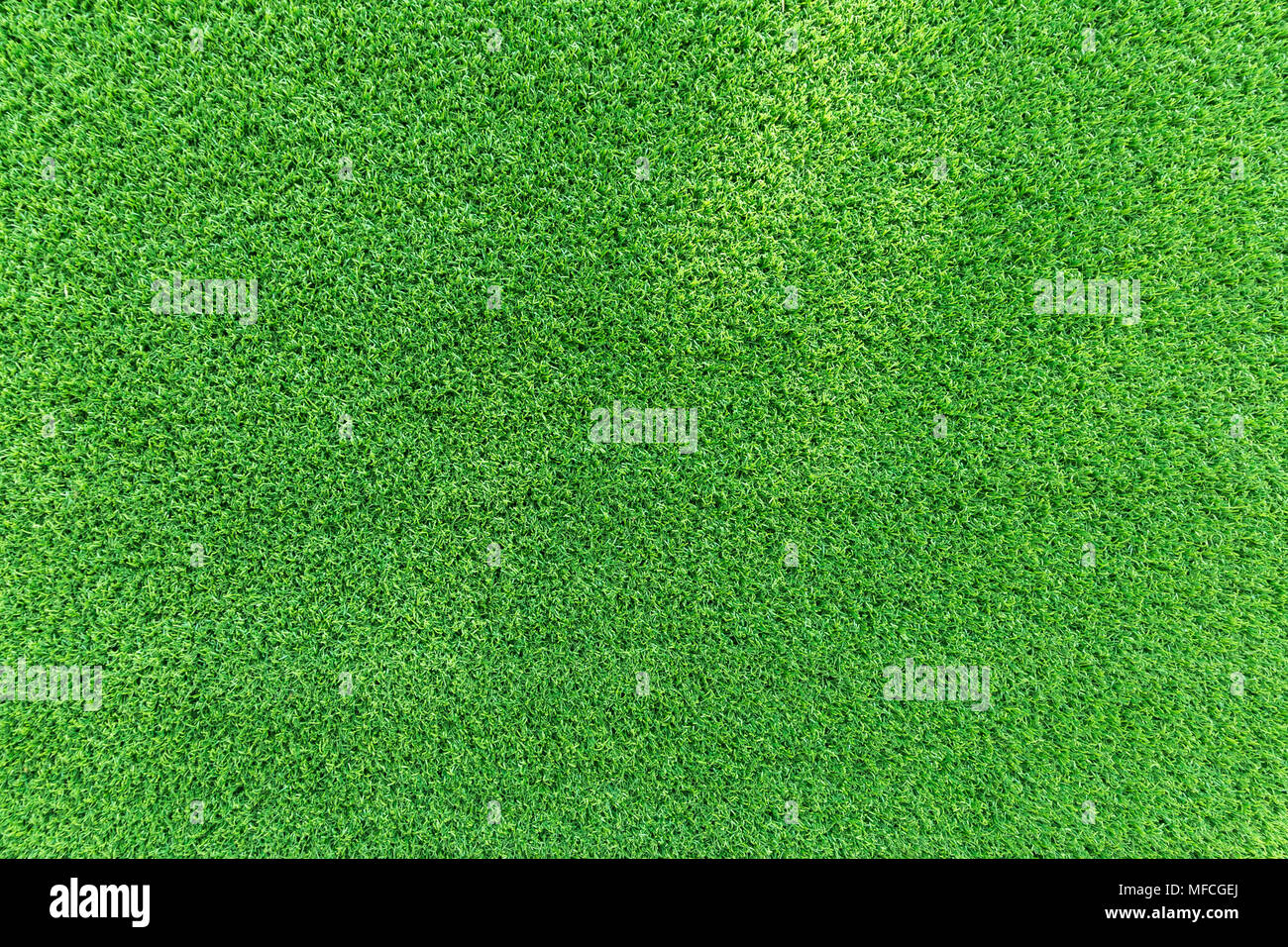 Grass field texture for golf course, soccer field or sports background ...