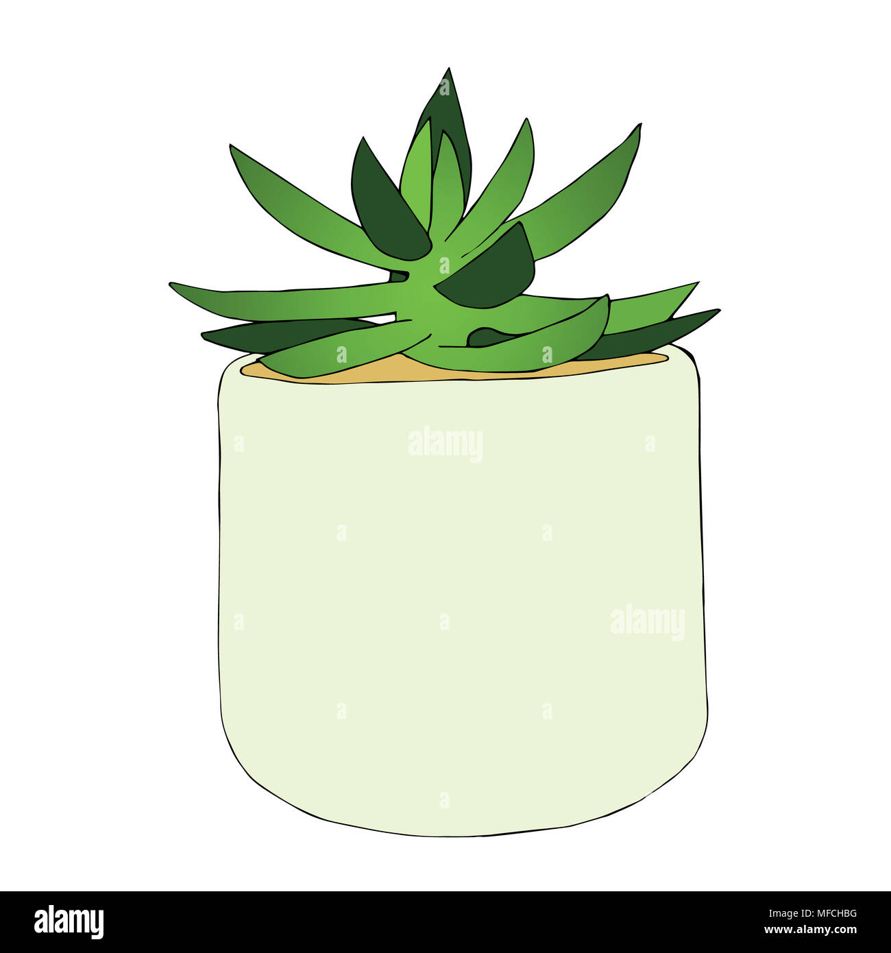 Hand drawn succulent flower in the pot. Vector illustration Stock Photo ...