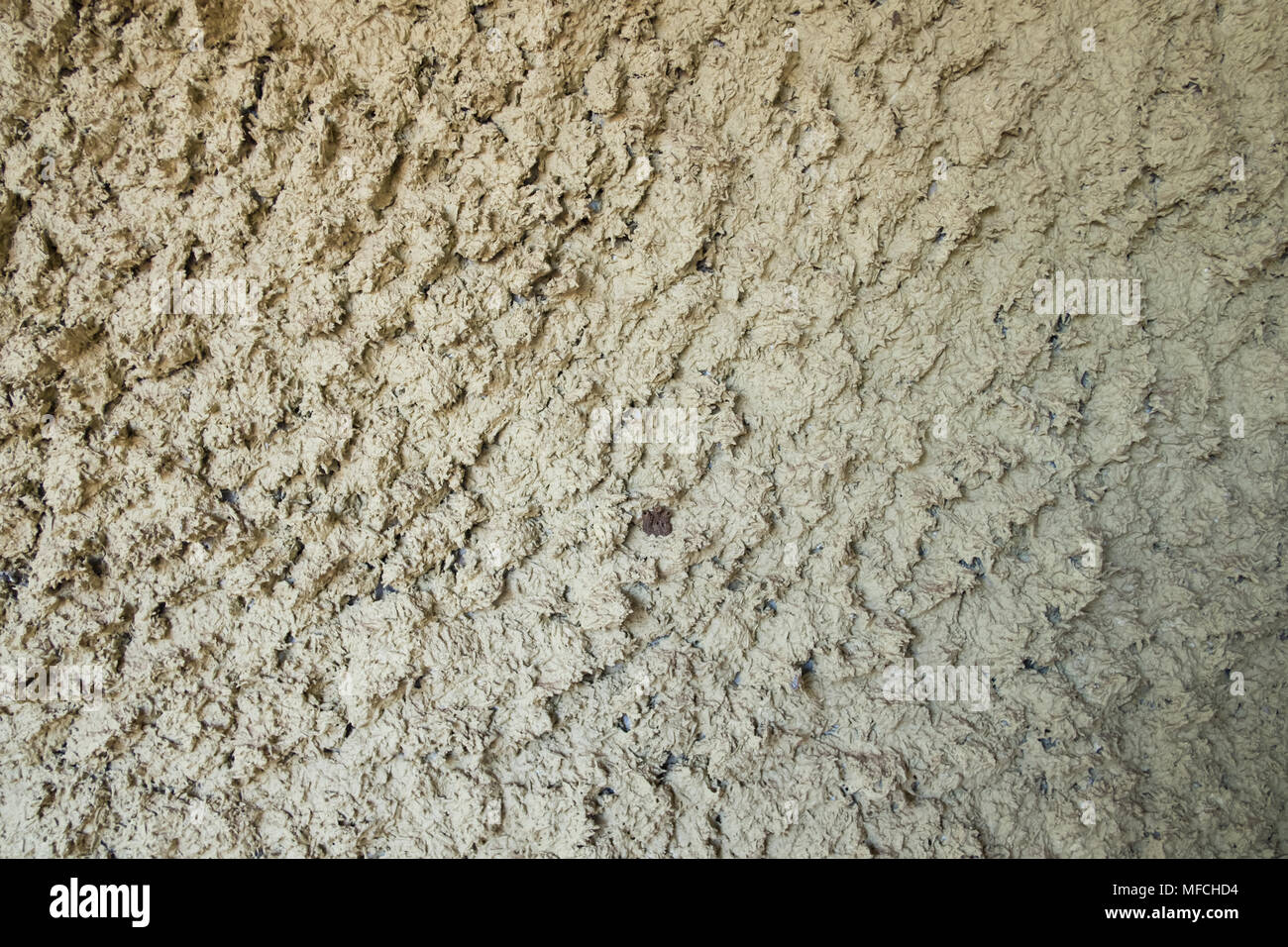 Texture of asia buffalo skin at close range Stock Photo - Alamy