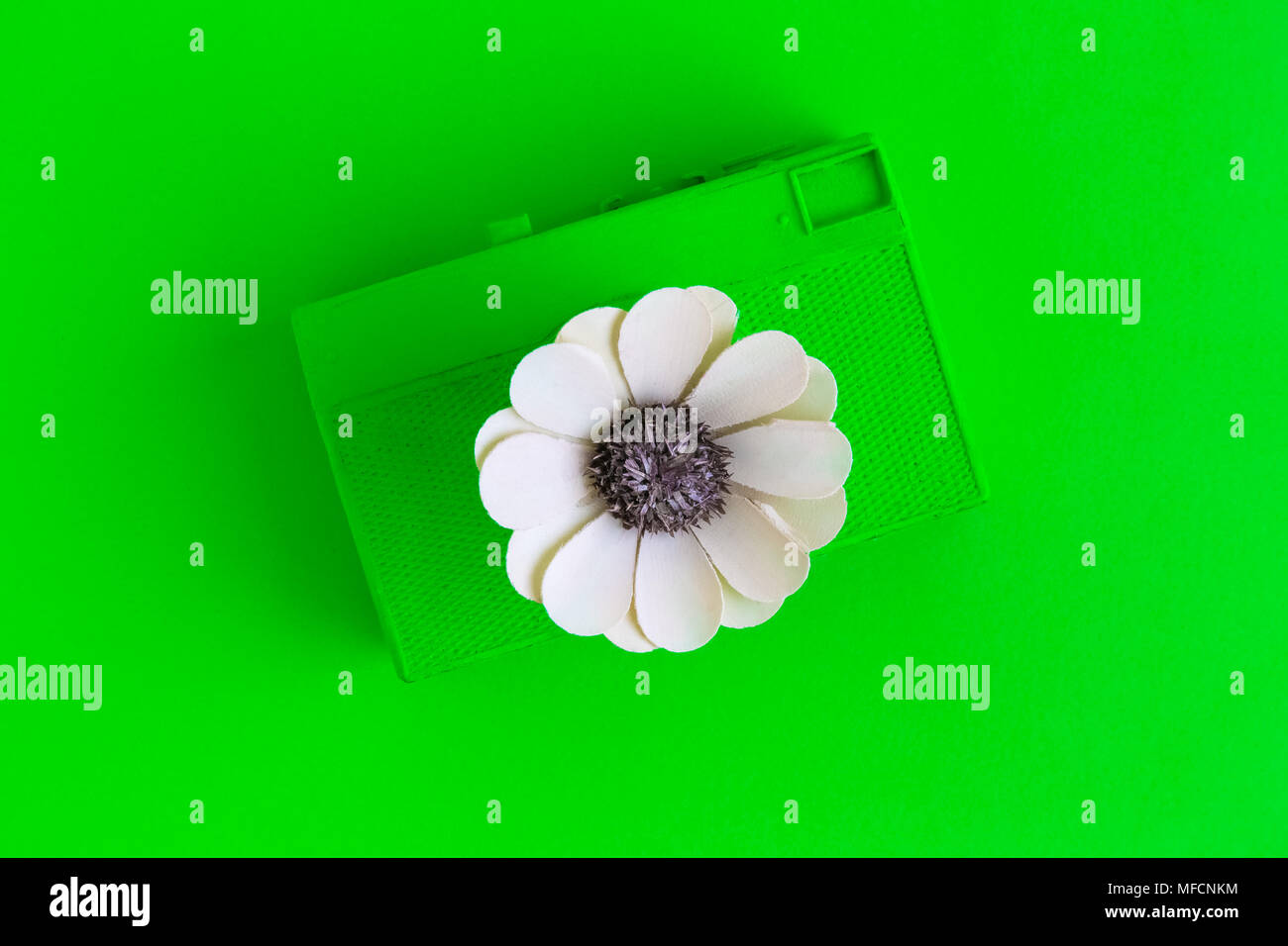 Neon green retro film photo camera with flower in form of lens minimal ...