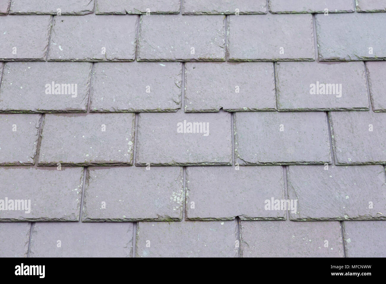 Traditional slate roof tiles Stock Photo - Alamy