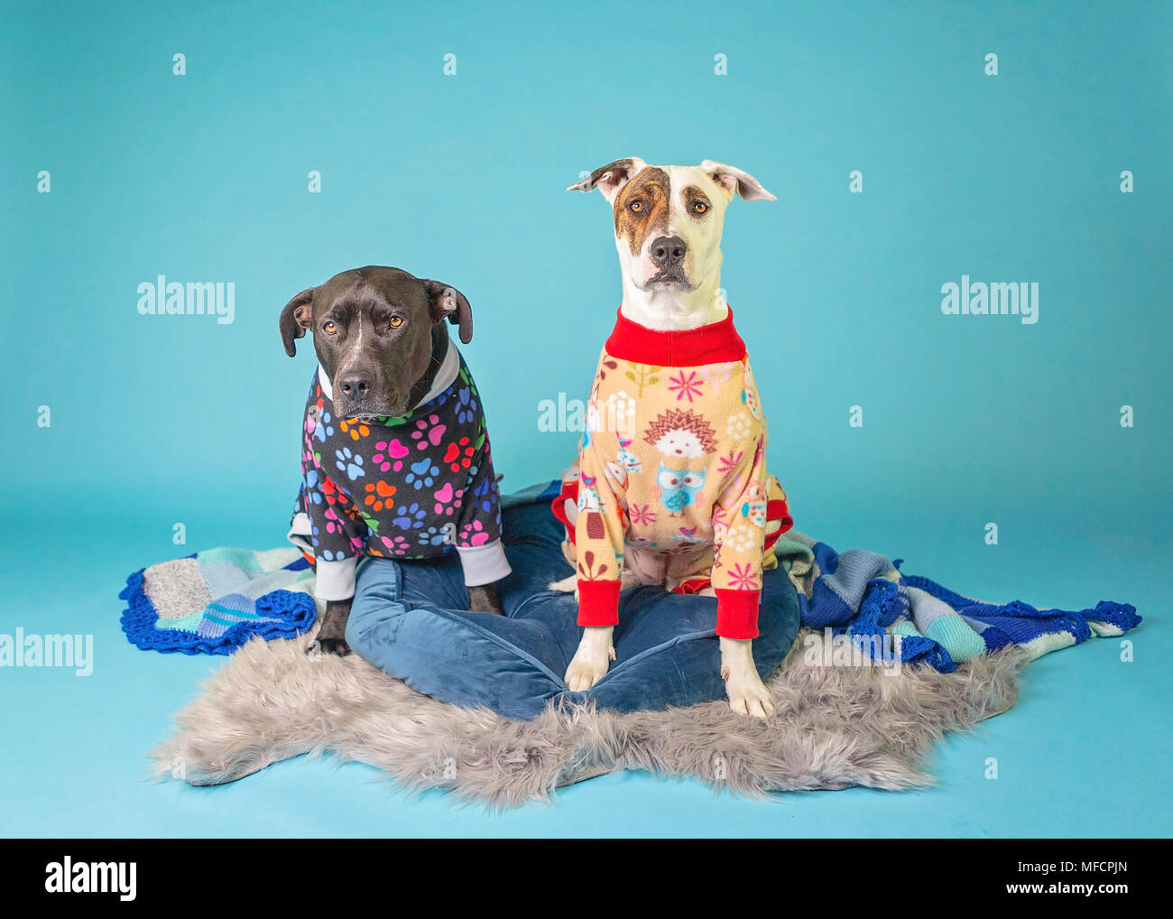 Slumber party hi-res stock photography and images - Alamy