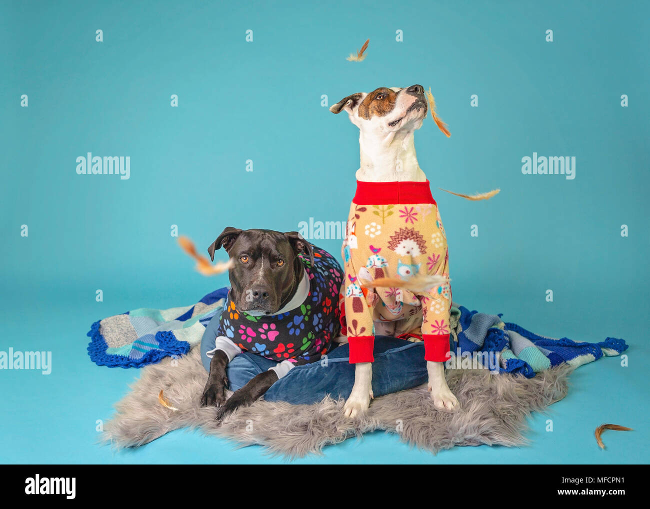 Pyjama party hi-res stock photography and images - Alamy