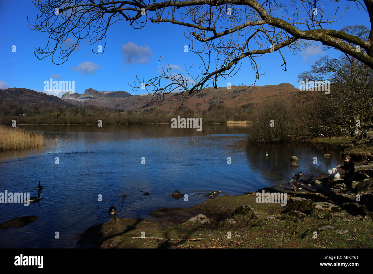 Elterwater views langdale hi-res stock photography and images - Alamy