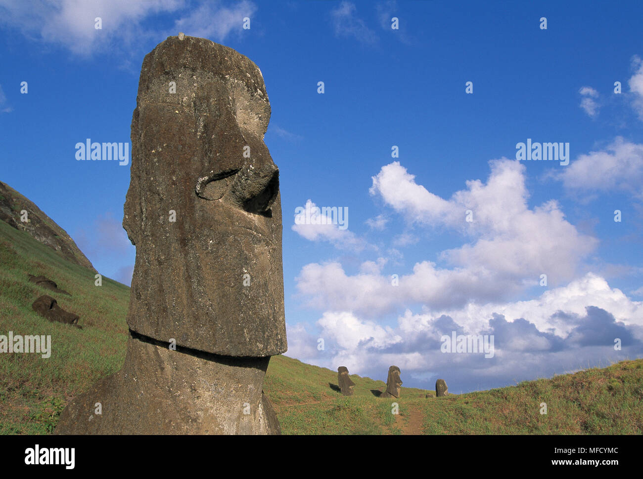 Native South Pacific Peoples High Resolution Stock Photography and ...