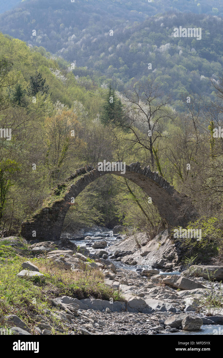 Rezzo bridge hi-res stock photography and images - Alamy