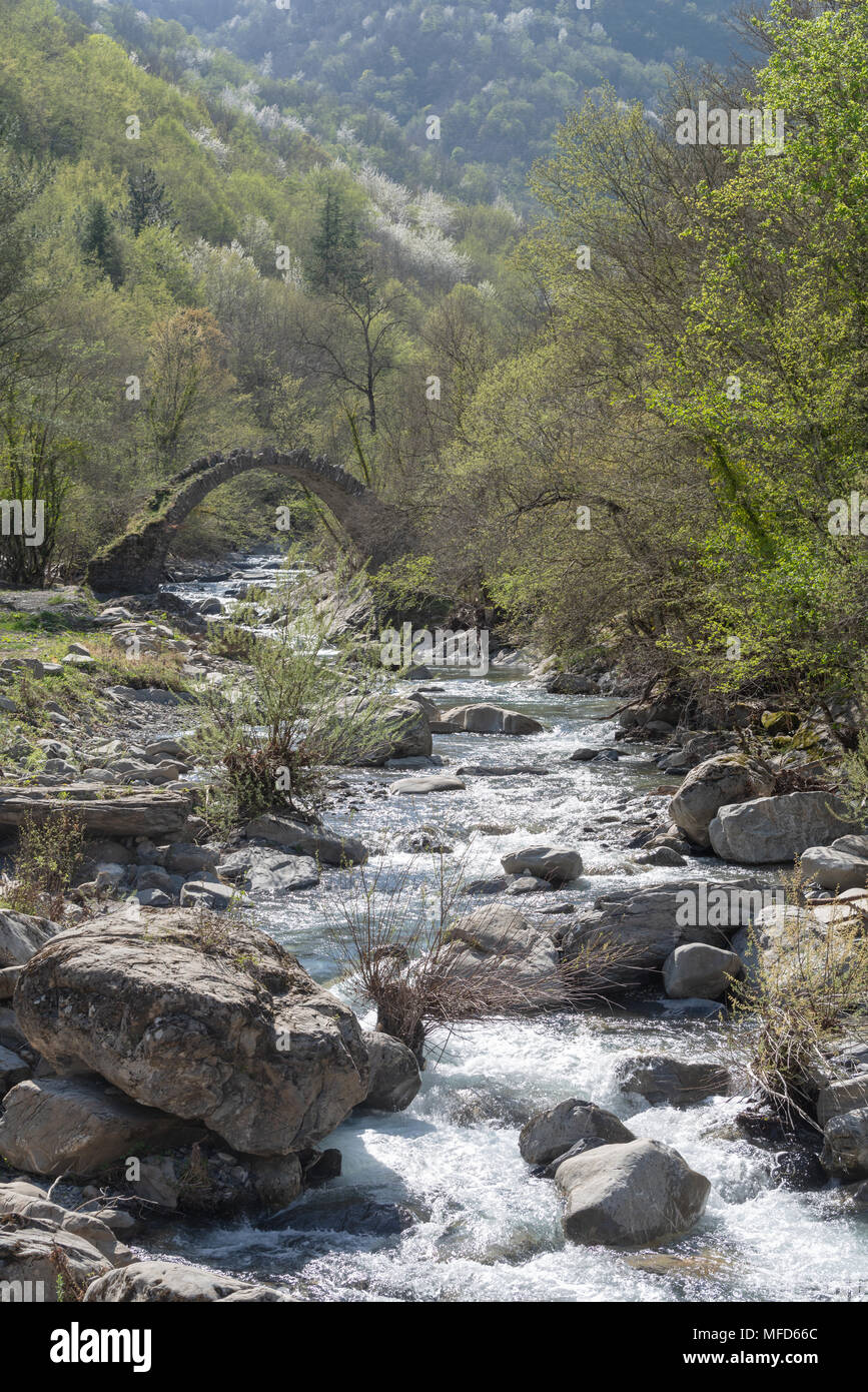 Ruins of arch bridge in mountains, Rezzo municipality, Province of ...