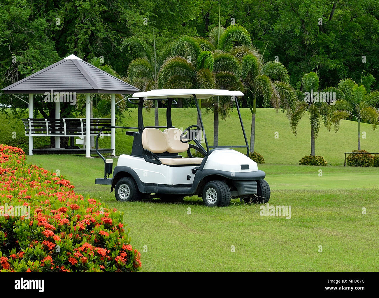 Golf buggy green vehicle hi-res stock photography and images - Alamy