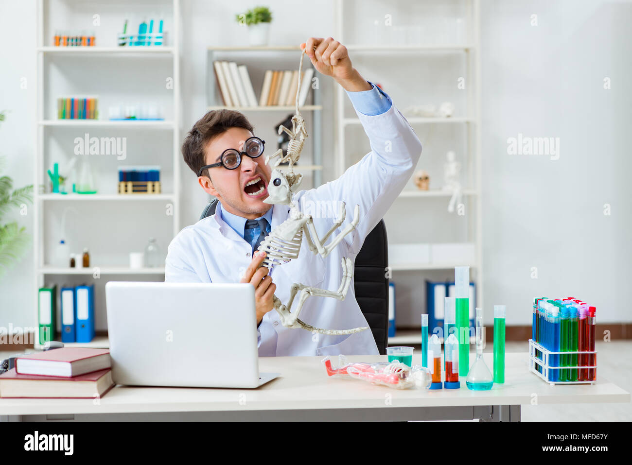 Funny scientist with cat skeleton in lab clinic Stock Photo - Alamy
