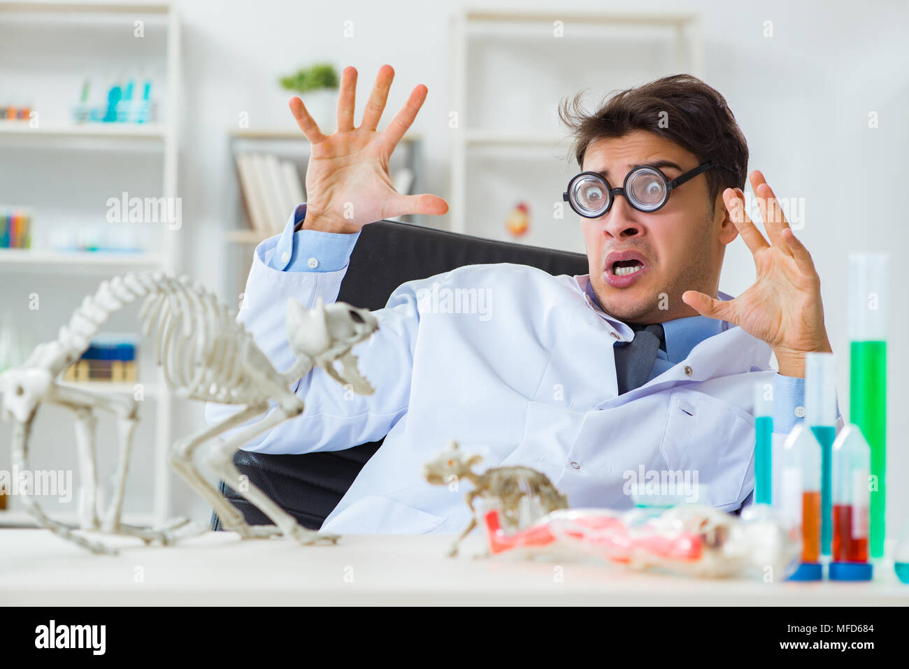 Funny scientist with cat skeleton in lab clinic Stock Photo - Alamy