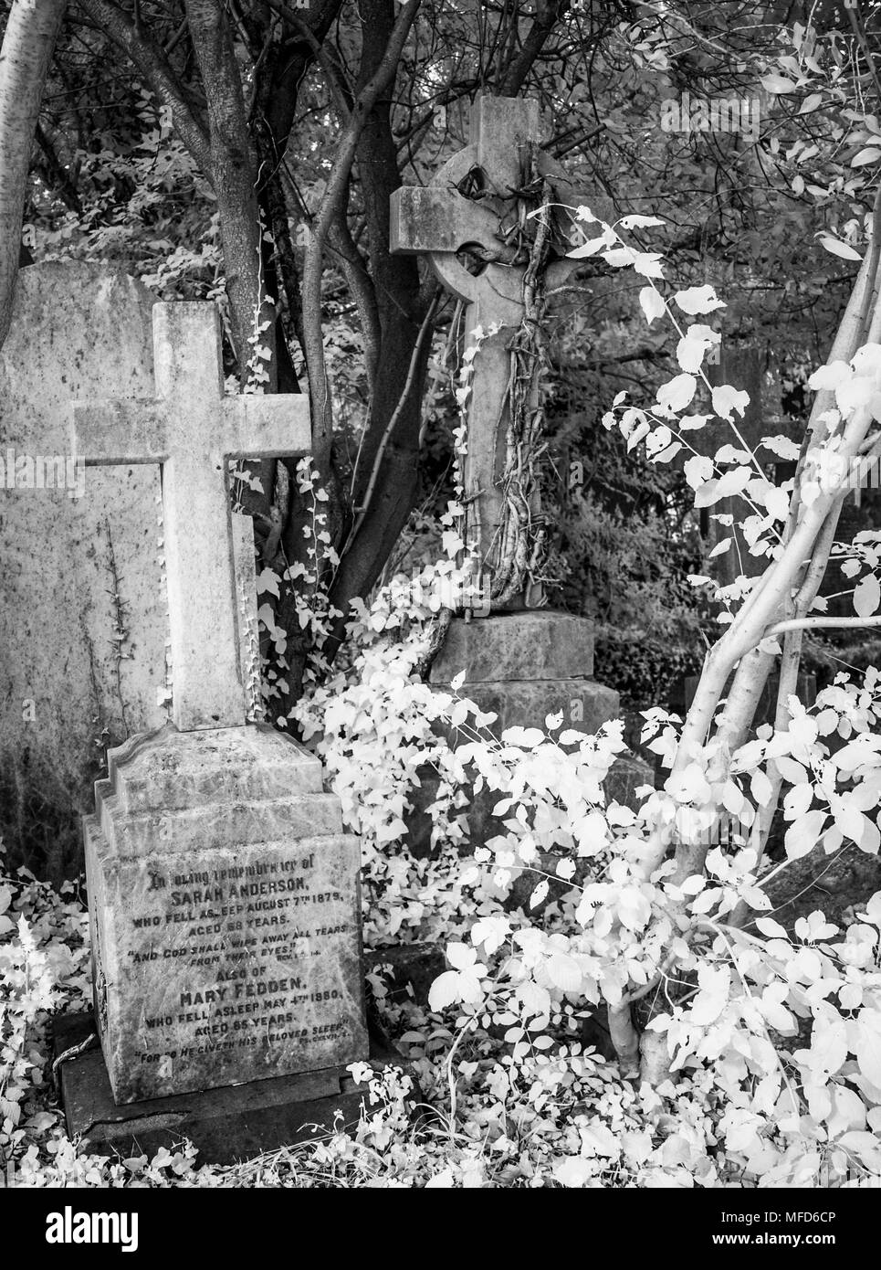 Crumbling headstones hi-res stock photography and images - Alamy