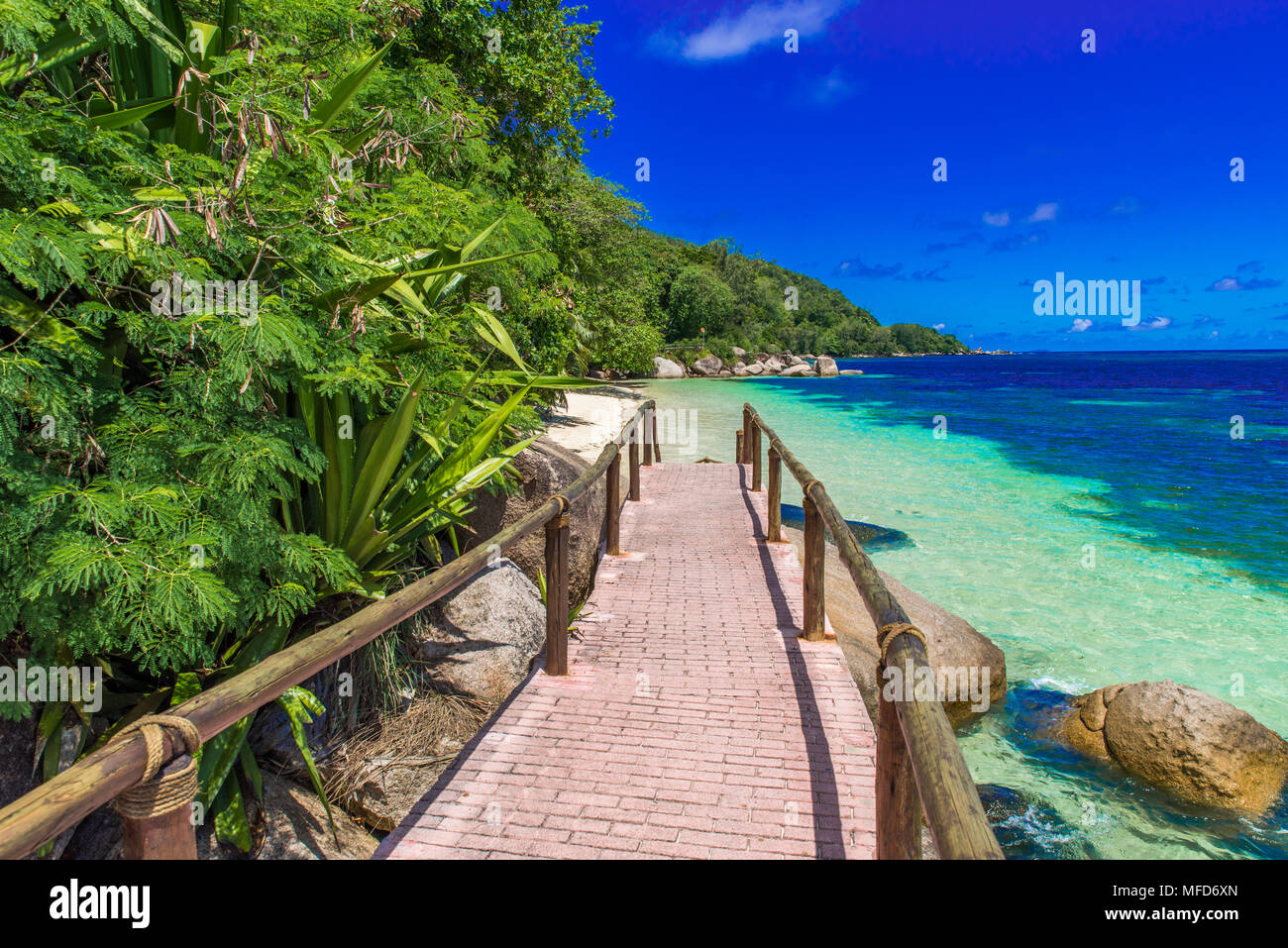 Path at paradise coast Stock Photo - Alamy