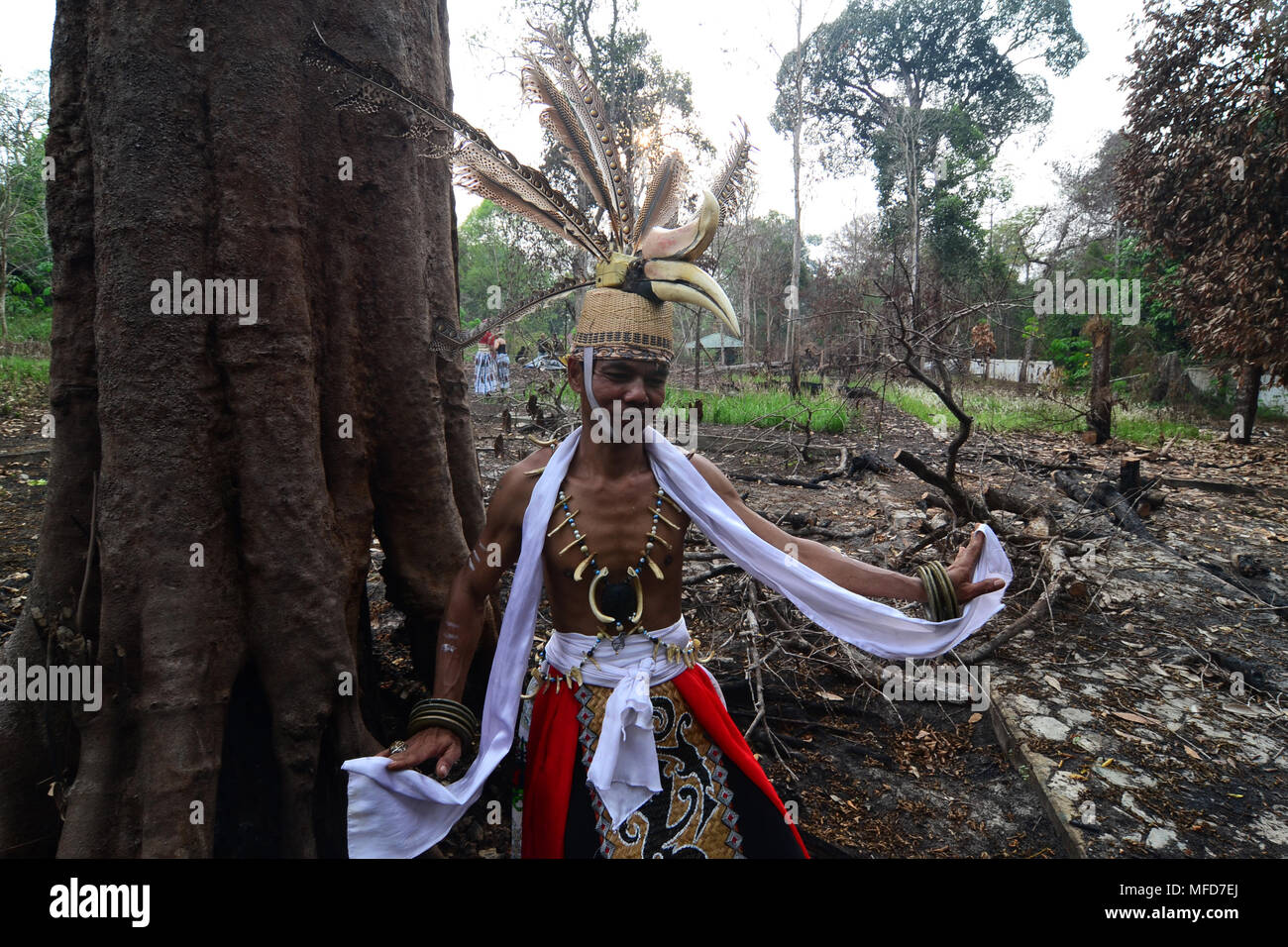 The rituals of the Dayak tribe and the women during the celebration ...