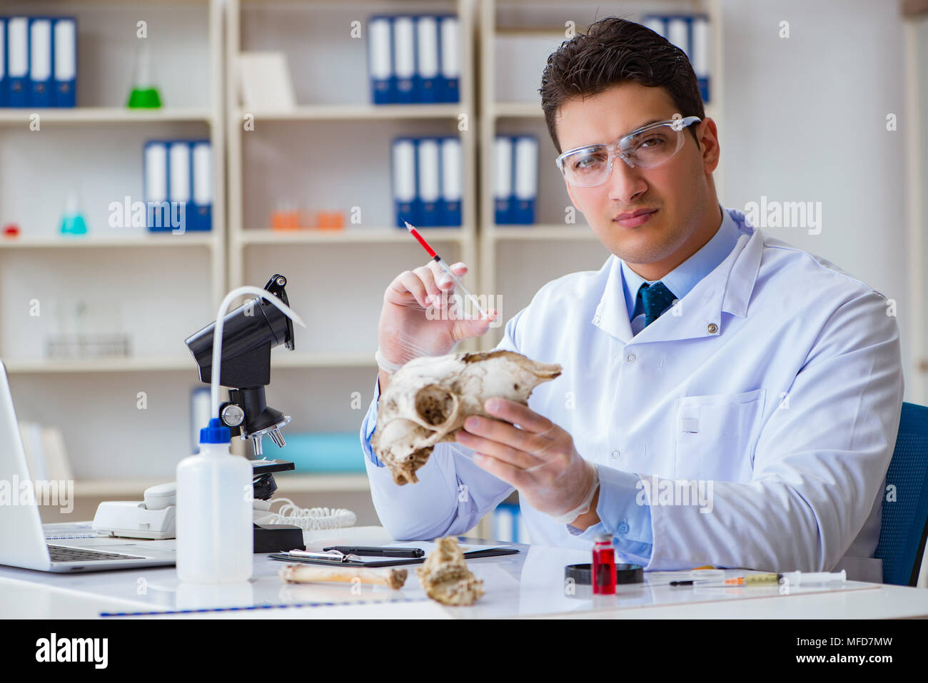 Paleontologist looking at extinct animal bone Stock Photo - Alamy