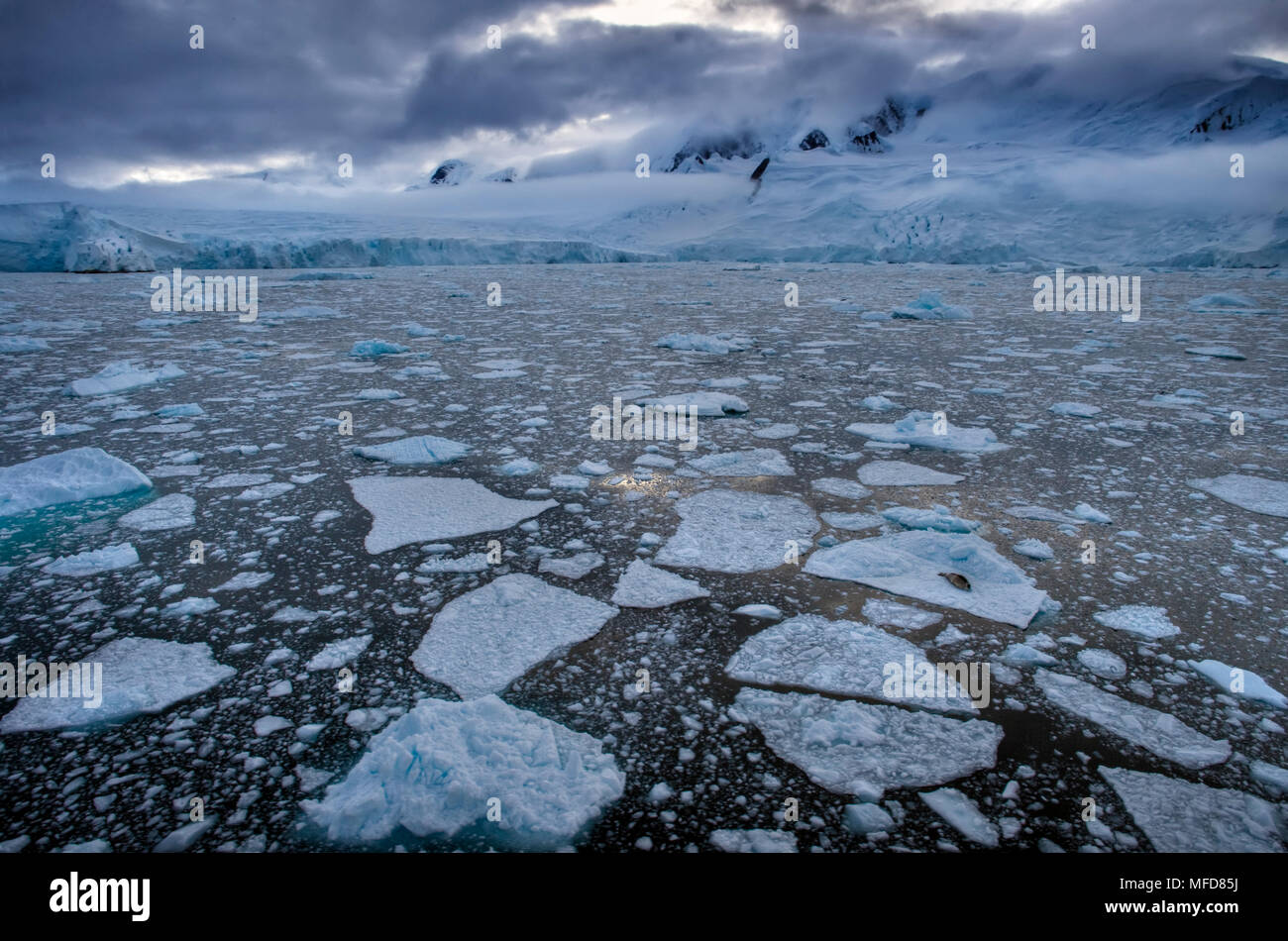 Fragmented landscapes hi-res stock photography and images - Alamy