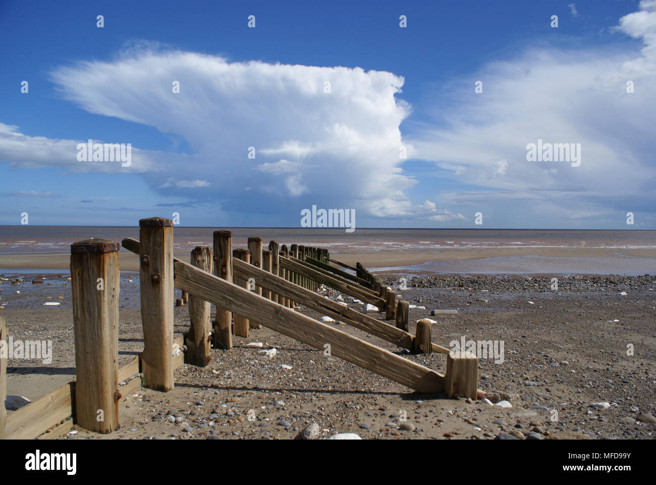 Spurn national nature reserve hi-res stock photography and images - Alamy