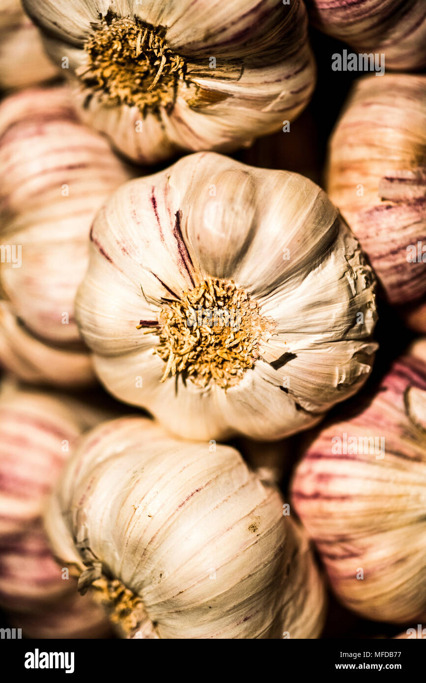 Garlic heads lying on each other Stock Photo - Alamy