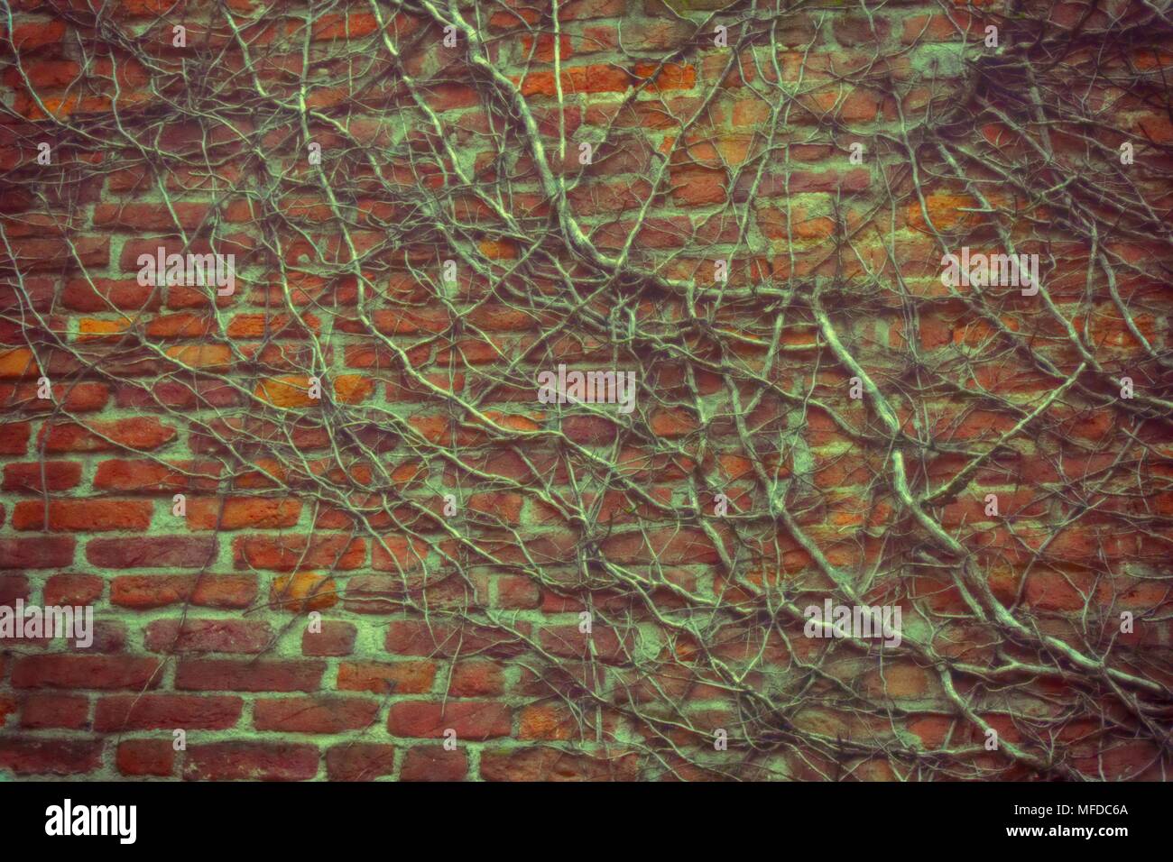 Brick wall stone background - texture for continuous rocks Stock Photo ...