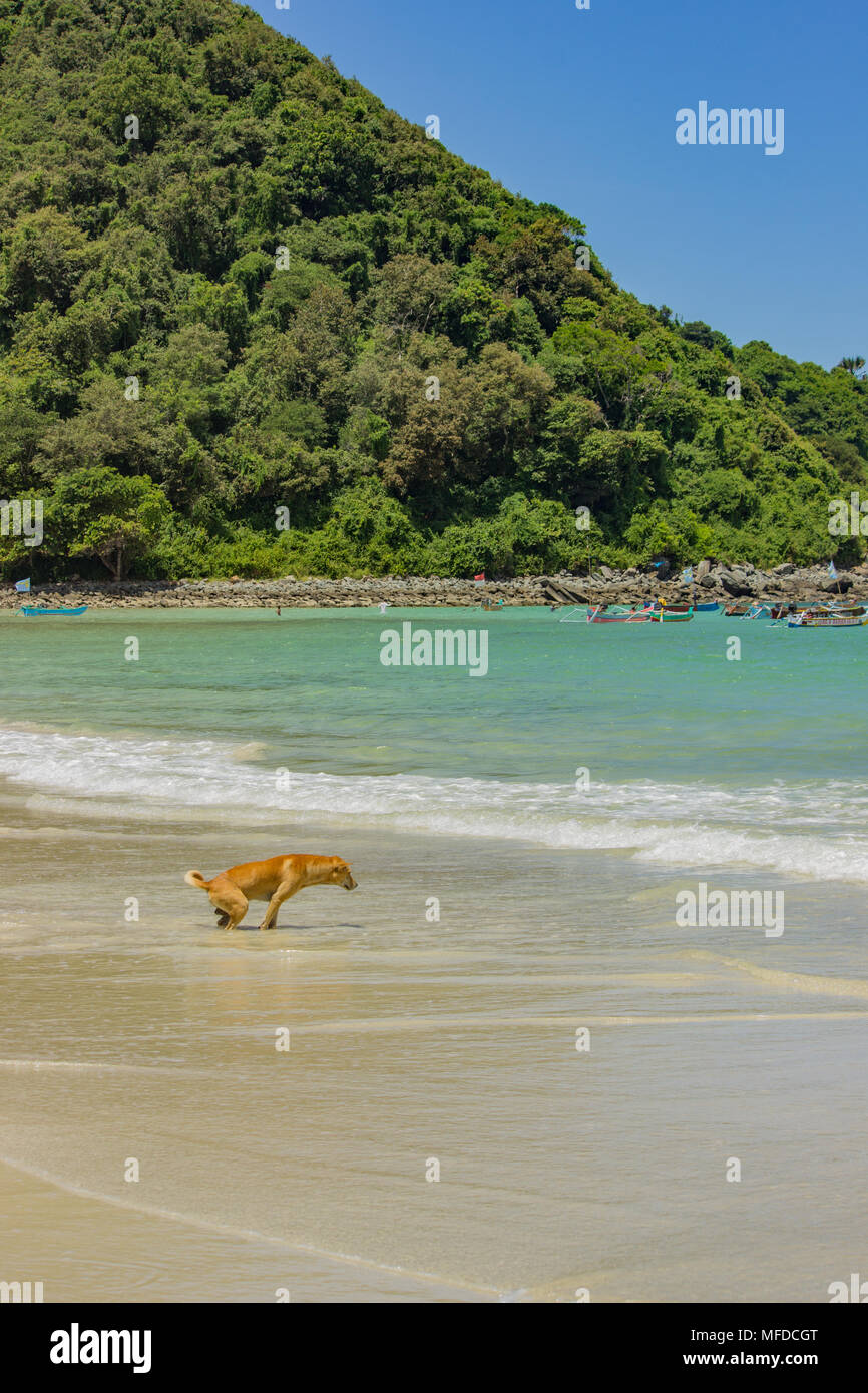 Lesser sunda chain of island hi-res stock photography and images - Alamy