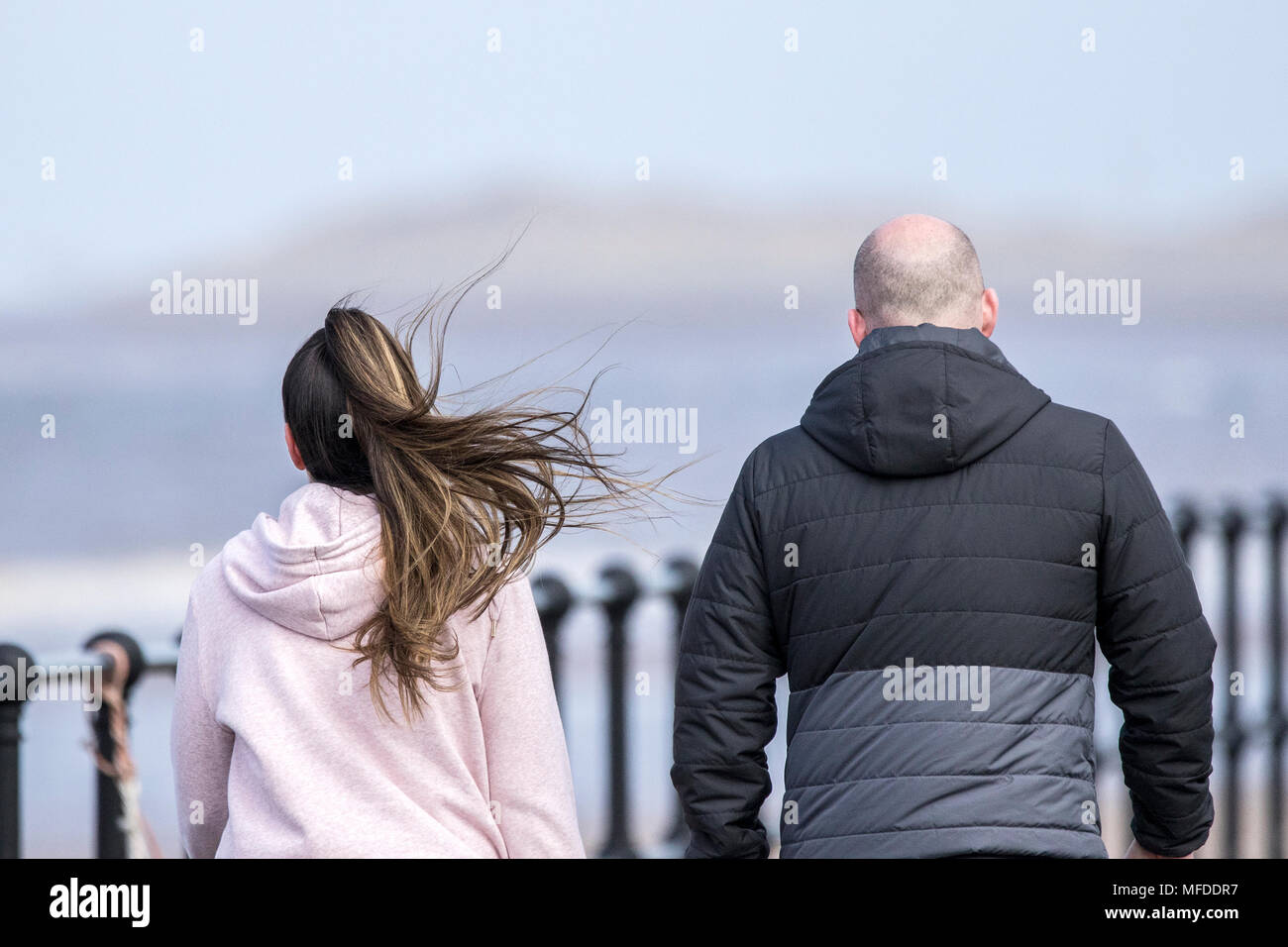 wind,hair,windswept,bad hair day,wind blown hair,long hair,female,face ...