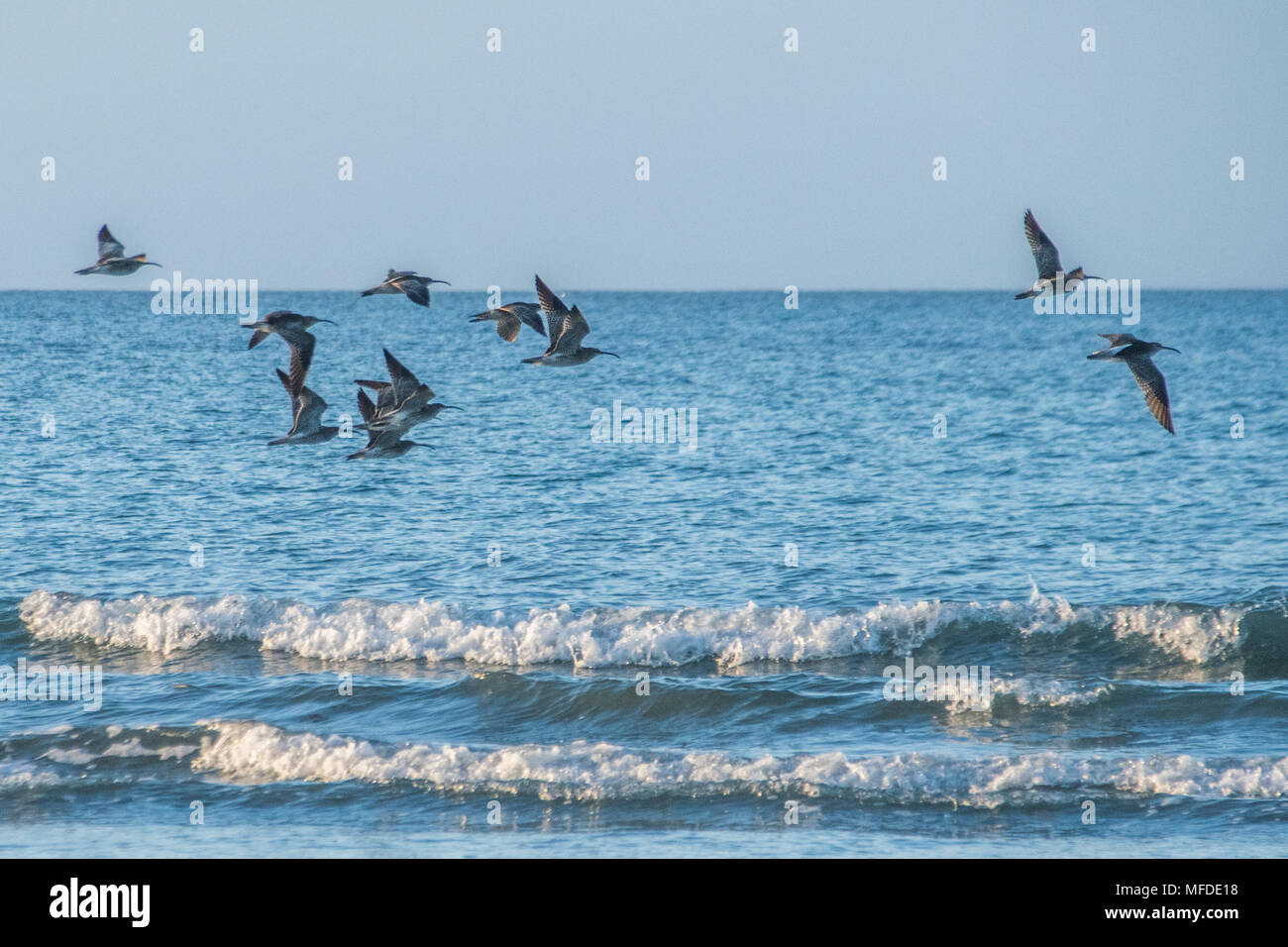 Who pass through cornwall april may hi-res stock photography and images ...